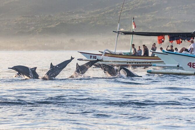 Munduk Waterfall Dolphin and Snorkeling Tour - Analyzing Value and Suitability