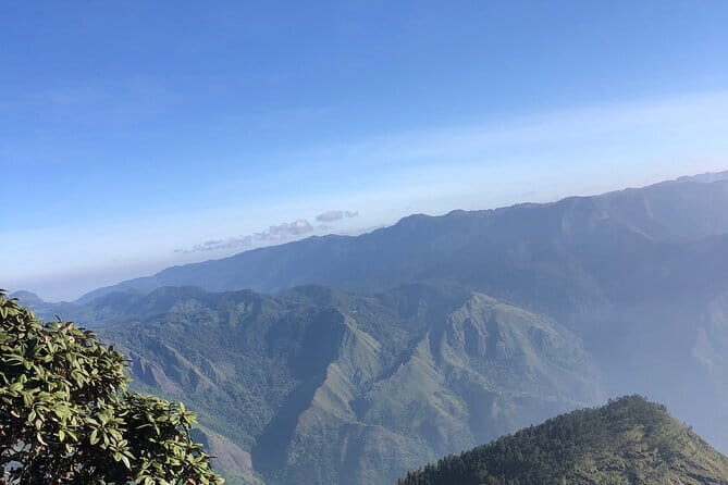 Munnar Daily Tour - Transportation and Logistics