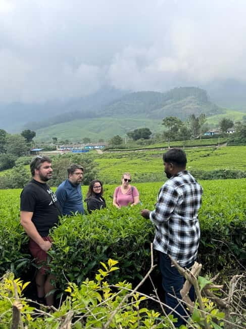 Munnar: Kolukkumalai Tea Plantation Jeep Tour - The Itinerary in Detail
