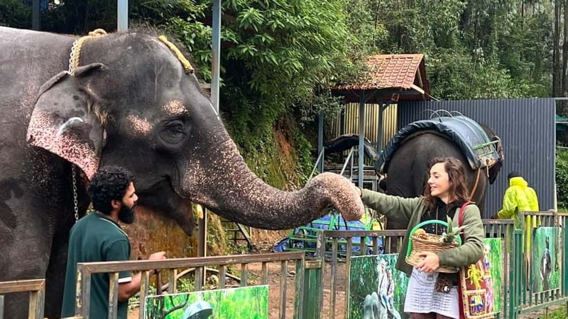 Munnar: Local Highlights Day Tour with Top station Visit - Who Should Consider This Tour?