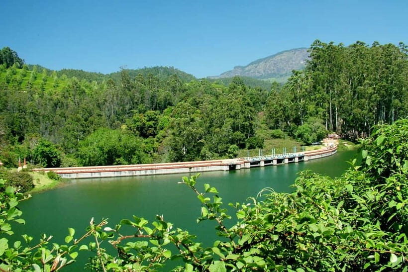 Munnar site-seeing Tour - Why This Tour Matters for Your Munnar Visit