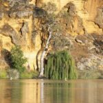 Murray River Highlights and Luncheon Cruise - Making the Most of Your Day