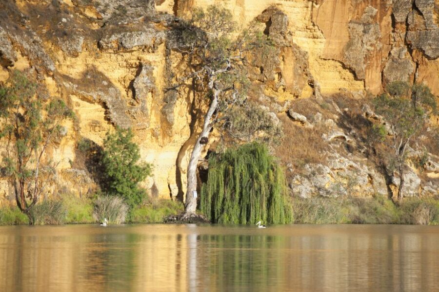 Murray River Highlights and Luncheon Cruise - Making the Most of Your Day