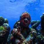MUSA Museum and Colorful Reef 2 Tank Dive-Certified Divers - Who Should Consider This Tour?