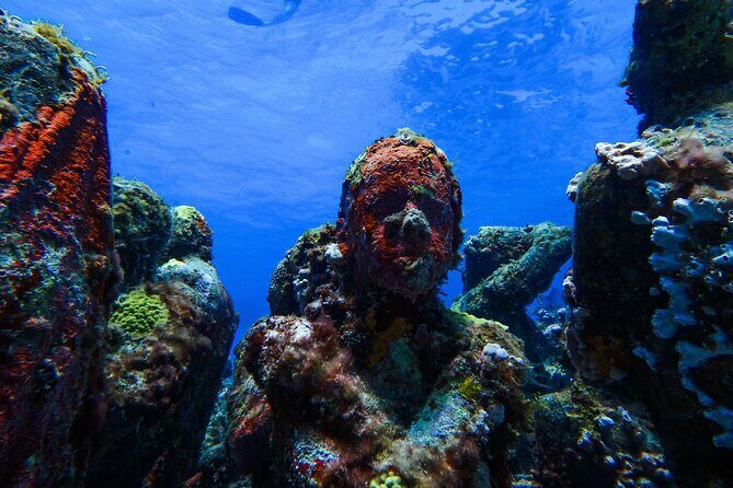MUSA Museum and Colorful Reef 2 Tank Dive-Certified Divers - Who Should Consider This Tour?