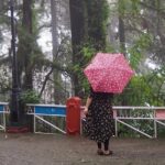 Mussoorie Heritage Walk | Kulri & Camel`s Back - Who Will Love This Tour?