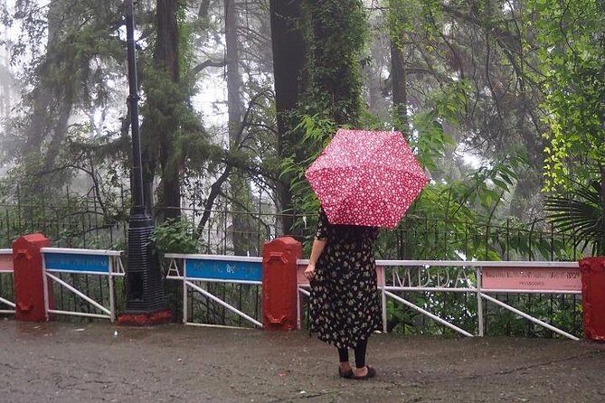 Mussoorie Heritage Walk | Kulri & Camel`s Back - Who Will Love This Tour?