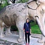 Mutianyu Great Wall and Ming Tomb Private Tour - The Comfort and Convenience of Private Transport