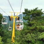 Mutianyu Great Wall Toboggan Private Trip English Speaking Driver - The Experience Overview