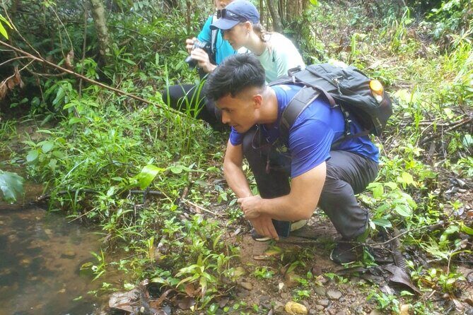 My Son sanctuary and mountain trekking - Authentic Reviews and Real Experiences