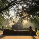 My Son Sanctuary Early Morning Tour 6 am w Banh my and Coffee - Detailed Breakdown of the Itinerary