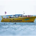 Myrtle Beach: Dolphin Cruise on the Sea Screamer - Practical Aspects & Recommendations