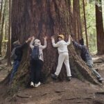 Mystical Rainforest Tour - Forest Magick - The Detailed Itinerary