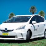 Nadi Airport to Denarau Resorts - Private Vehicle - What to Expect During Your Transfer