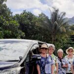 Nadi Airport to Fiji Marriot Resort, Momi Bay - Private Mini-Van (1-7 Pax) - Who Will Benefit Most?