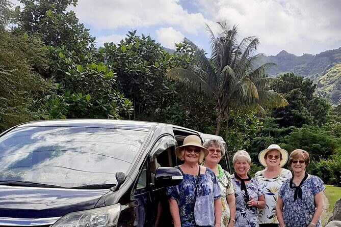Nadi Airport to Fiji Marriot Resort, Momi Bay - Private Mini-Van (1-7 Pax) - Who Will Benefit Most?