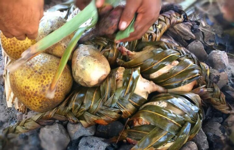 Nadi: Fijan Culture Night Tour with Dinner & Kava Ceremony - Who Will Love This Tour?