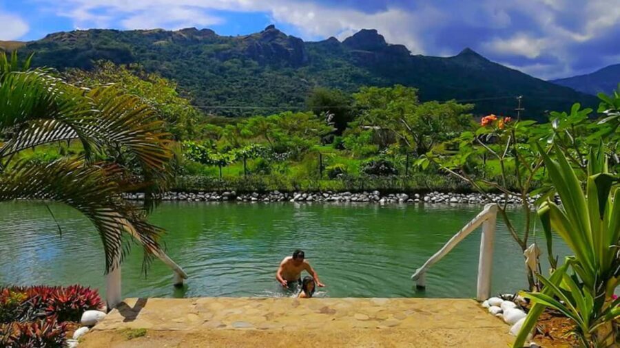 Nadi: Mud Pool and Hot Spring Private Tour - What Travelers Appreciate and Some Considerations
