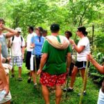 NADI: Nalesutale Village Half Day Tour - The Itinerary: A Well-Rounded Cultural and Natural Journey