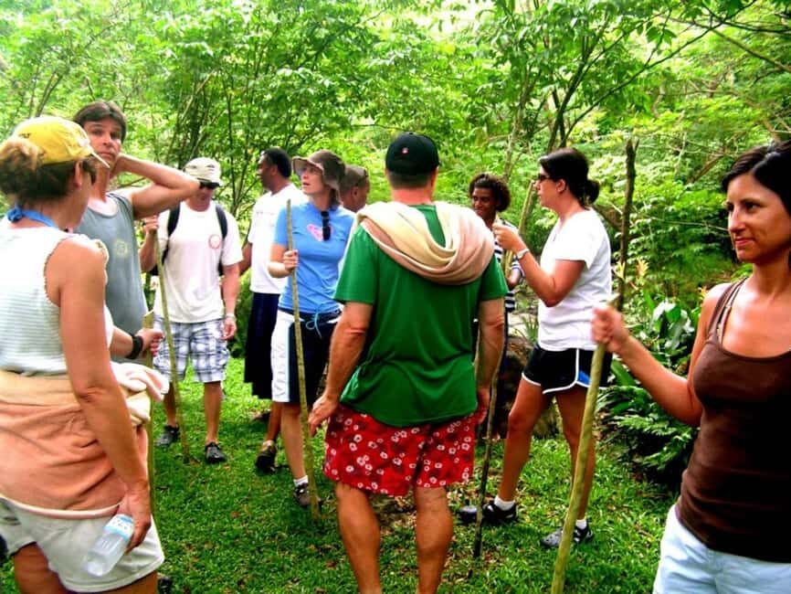 NADI: Nalesutale Village Half Day Tour - The Itinerary: A Well-Rounded Cultural and Natural Journey