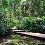 Nadi Sightseeing Including Viseisei Lookout, Village Tour, Garden & Temple Tour - What the Experience Offers in Value and Practicality