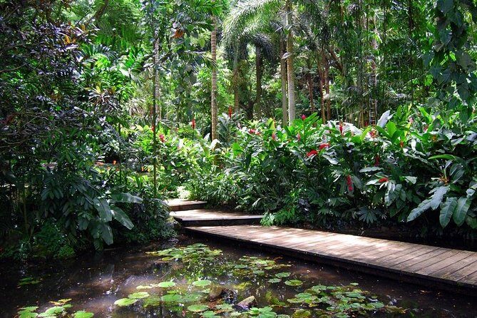 Nadi Sightseeing Including Viseisei Lookout, Village Tour, Garden & Temple Tour - What the Experience Offers in Value and Practicality