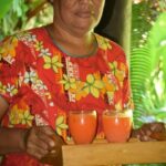 Nadi Therapeutic Mud Pools and Garden Tour - Shore Excursions EX PORT DENARAU - Who Will Love This Tour?