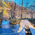 Nagano / Matsumoto / Takayama: Kamikochi Private Tour - The Experience: What Travelers Say