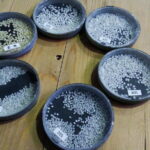 Nagano-Myoko-Joetsu Private Tour with Licensed Guide - What We Think About the Value