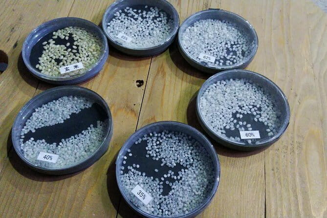 Nagano-Myoko-Joetsu Private Tour with Licensed Guide - What We Think About the Value