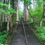 Nagano Private Tour With English Speaking Driver - Jigokudani Snow Monkey Park: Nature’s Hot Spring Show