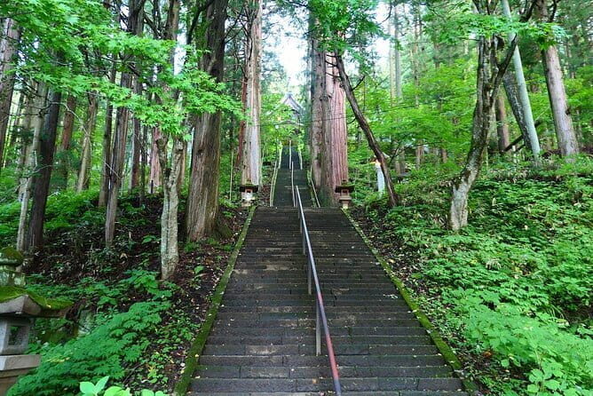 Nagano Private Tour With English Speaking Driver - Jigokudani Snow Monkey Park: Nature’s Hot Spring Show