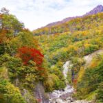 Nagano: Private Walking Tour with a Local - What the Tour Looks Like: A Step-by-Step Breakdown