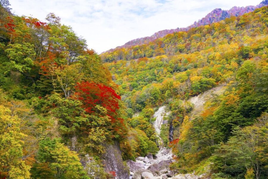 Nagano: Private Walking Tour with a Local - What the Tour Looks Like: A Step-by-Step Breakdown