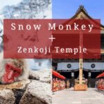 Nagano: Snow Monkeys, Sake Tasting & Zenkoji Private Tour - Exploring the Itinerary in Detail