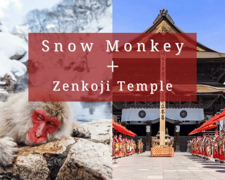 Nagano: Snow Monkeys, Sake Tasting & Zenkoji Private Tour - Exploring the Itinerary in Detail