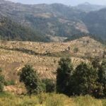 Nagarkot Full-Day Hiking Tour from Kathmandu - Detailed Review of the Itinerary