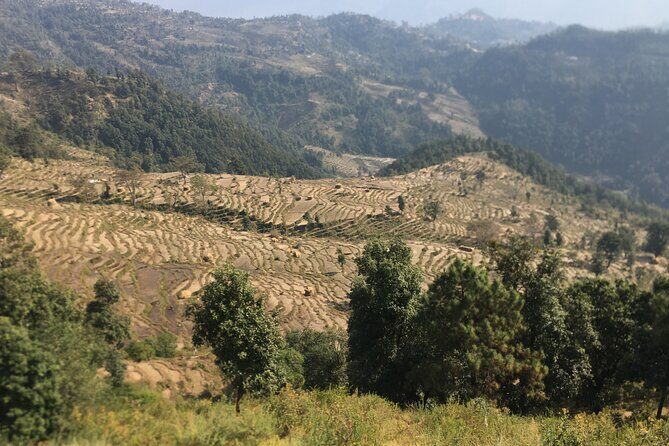 Nagarkot Full-Day Hiking Tour from Kathmandu - Detailed Review of the Itinerary