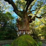 Nagoya: Atsuta Shrine and Sword Museum Guided Tour - Cultural Treasure Museum: Unlocking Japan’s Artistic Heritage