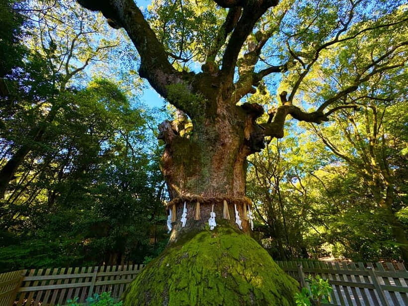 Nagoya: Atsuta Shrine and Sword Museum Guided Tour - Cultural Treasure Museum: Unlocking Japan’s Artistic Heritage