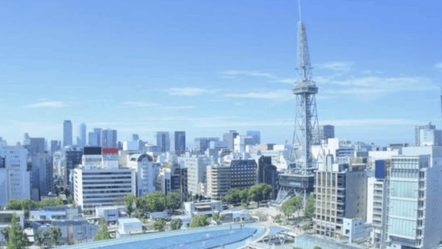 Nagoya Private Custom Tour with Local Guide - What to Expect: A Day Filled with Discovery