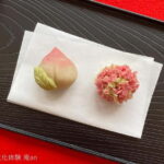 Nagoya: Traditional Japanese Sweets-Making Workshop - The Craftsmanship and the Ingredients
