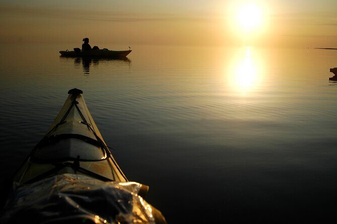 Nags Head Kayak Tour - An In-Depth Look at the Nags Head Kayak Tour