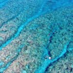 Naha: Full-Day Introductory diving & Snorkeling in the Kerama Islands, Okinawa - Practical Considerations