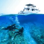 Naha, Okinawa: Kerama Islands Full-Day Intro-Diving Trip - The Sum Up: Is This Tour Right for You?