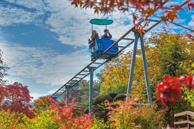 Nami Island and Rail Bike Day Trip from Seoul - Who Will Love This Tour?