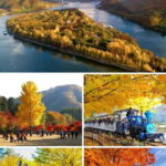 Nami Island, Apple Picking & Railbike Day Trip from Seoul - Practical Insights: What to Expect