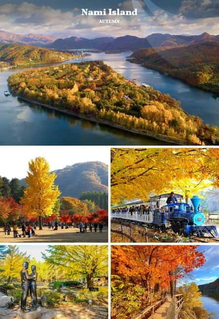 Nami Island, Apple Picking & Railbike Day Trip from Seoul - Practical Insights: What to Expect