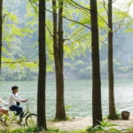 Nami Island with The Garden of Morning Calm Rail Bike from Seoul - Practical Details & Value