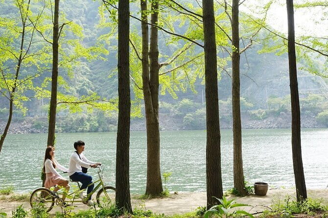 Nami Island with The Garden of Morning Calm Rail Bike from Seoul - Practical Details & Value